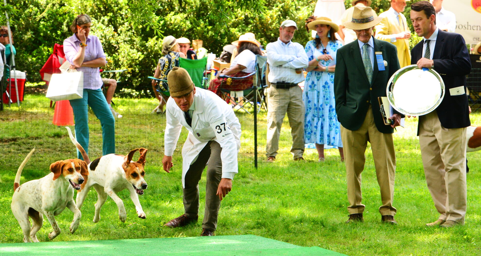 The world’s largest foxhound competition is coming to NoVA | Lifestyles ...