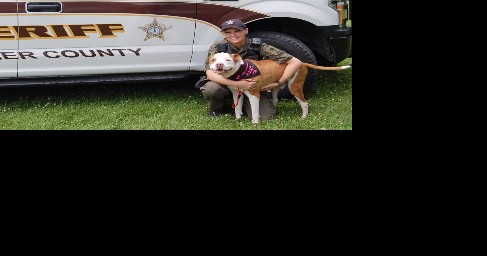 Animal control officer aims to educate community about preventing ...