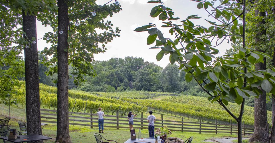 Hidden in the trees, Arterra Wines takes a natural approach | News ...