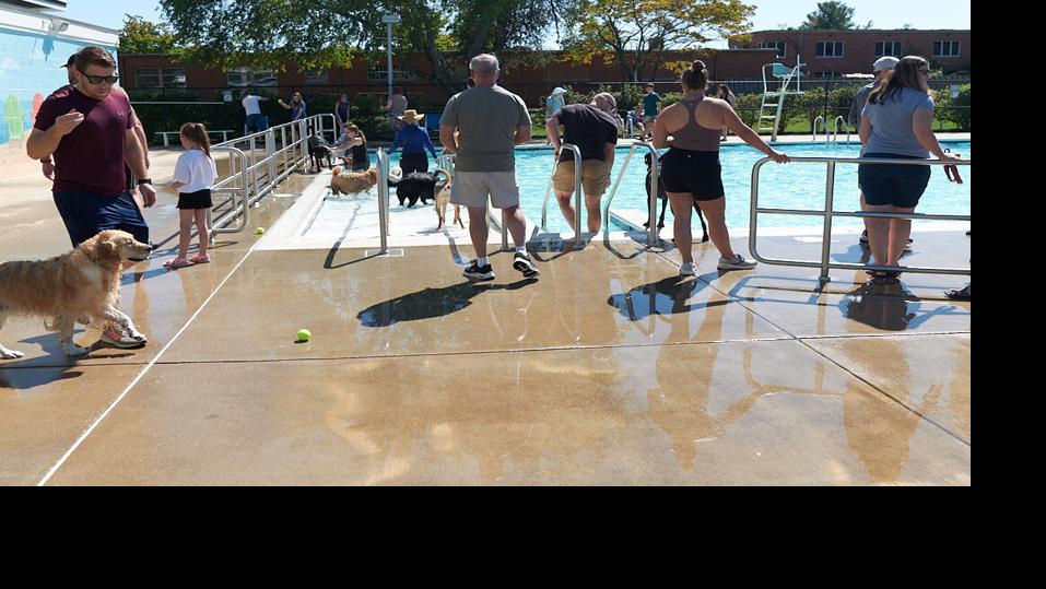 PHOTOS: Dogs' Day Pool Party at Vint Hill | Lifestyles | fauquier.com