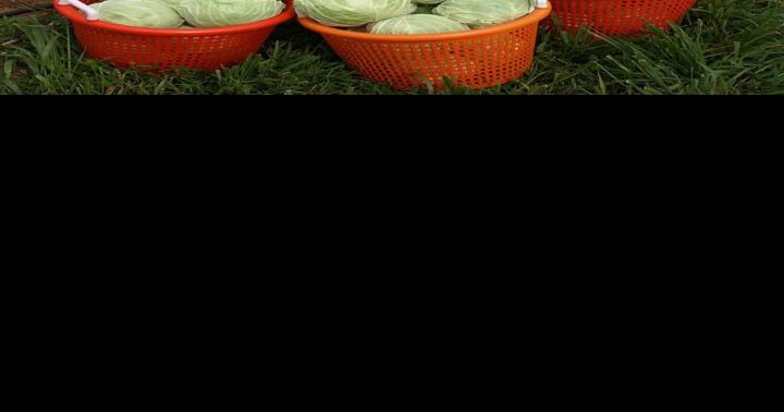 Get ready for spring planting at education farm | News | fauquier.com