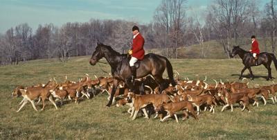 50 years later, ‘Thoughts on Foxhunting’ remains part of the fabric of ...