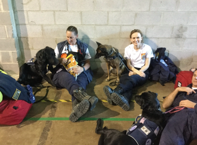 VIDEO: Va. Task Force 1 search and rescue heads for Florida | News ...