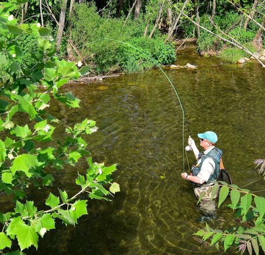 Legendary horseman James Wofford of Upperville dies | News | fauquier.com