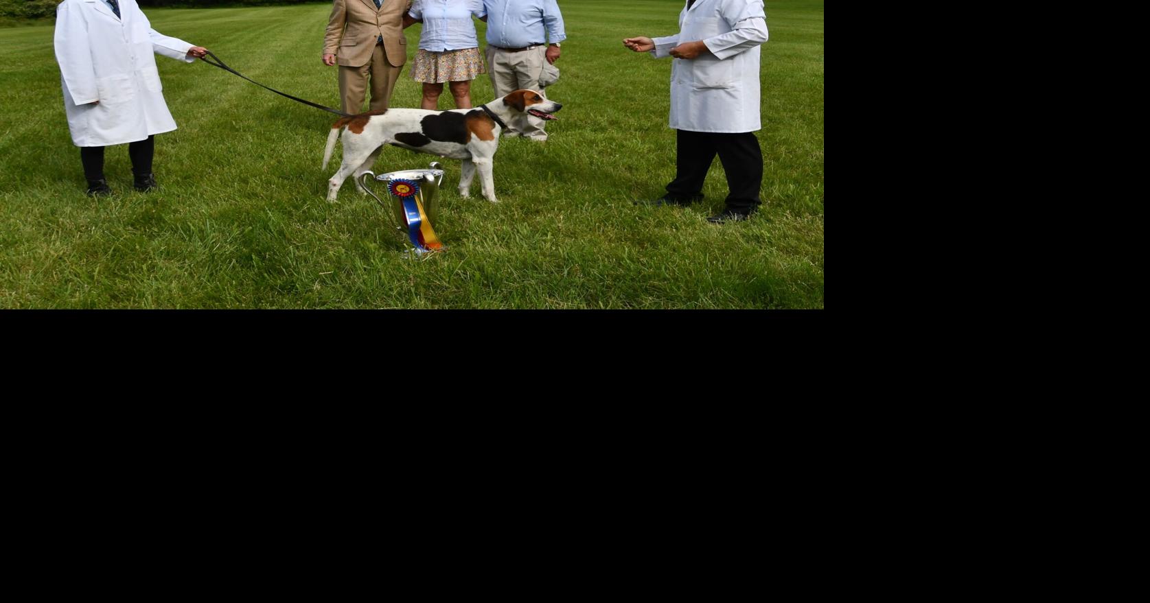 Blue Ridge Hunt dominates nation’s largest hound show | News | fauquier.com