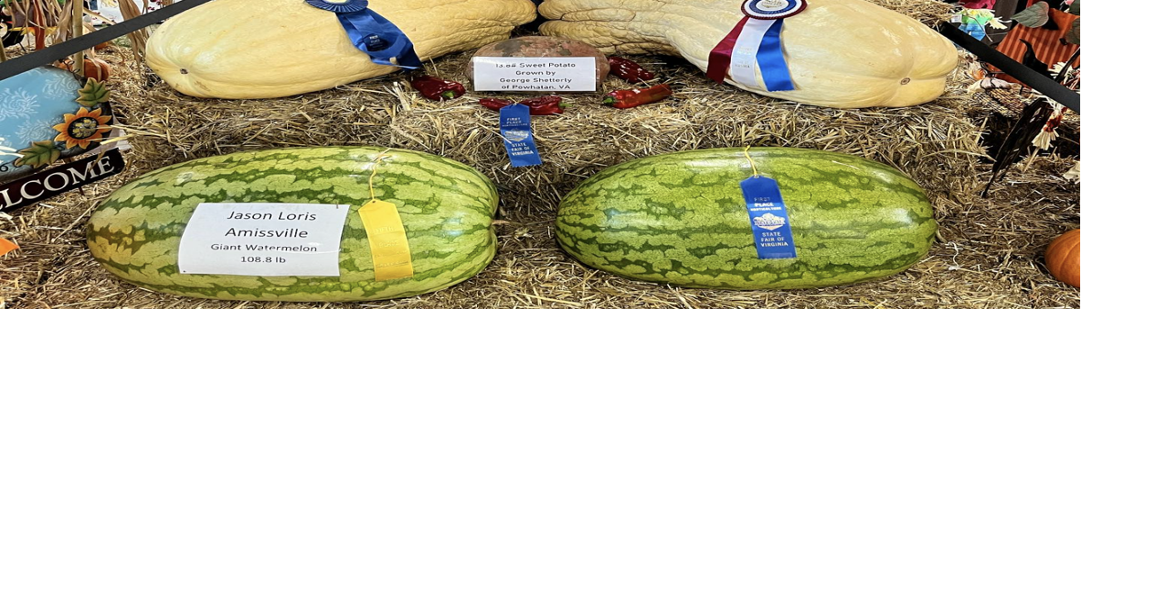 Jason Loris sets 2 world records with his giant butternut squash ...