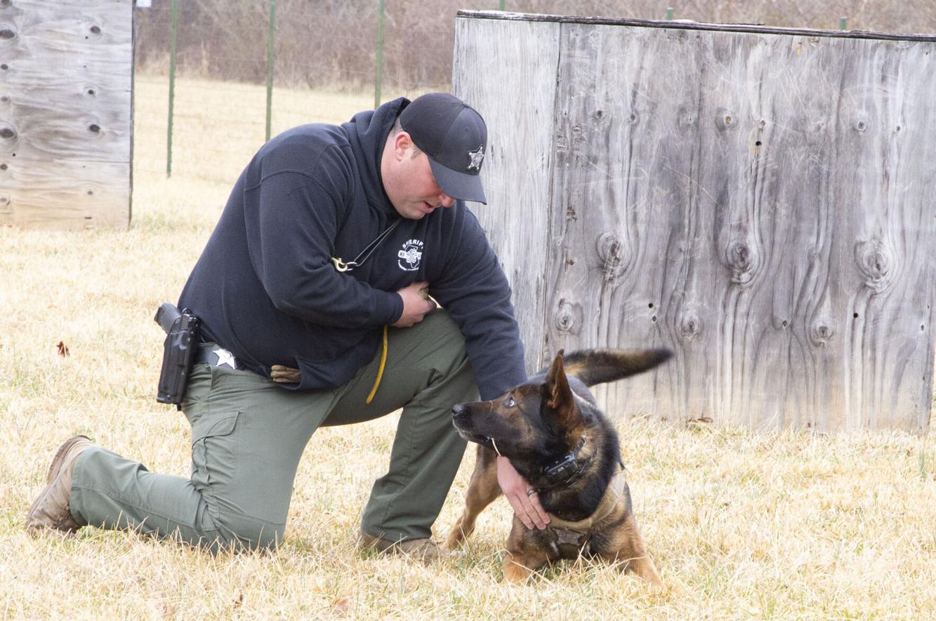 K9 injured when Linden man crashes into sheriff’s vehicle | News ...
