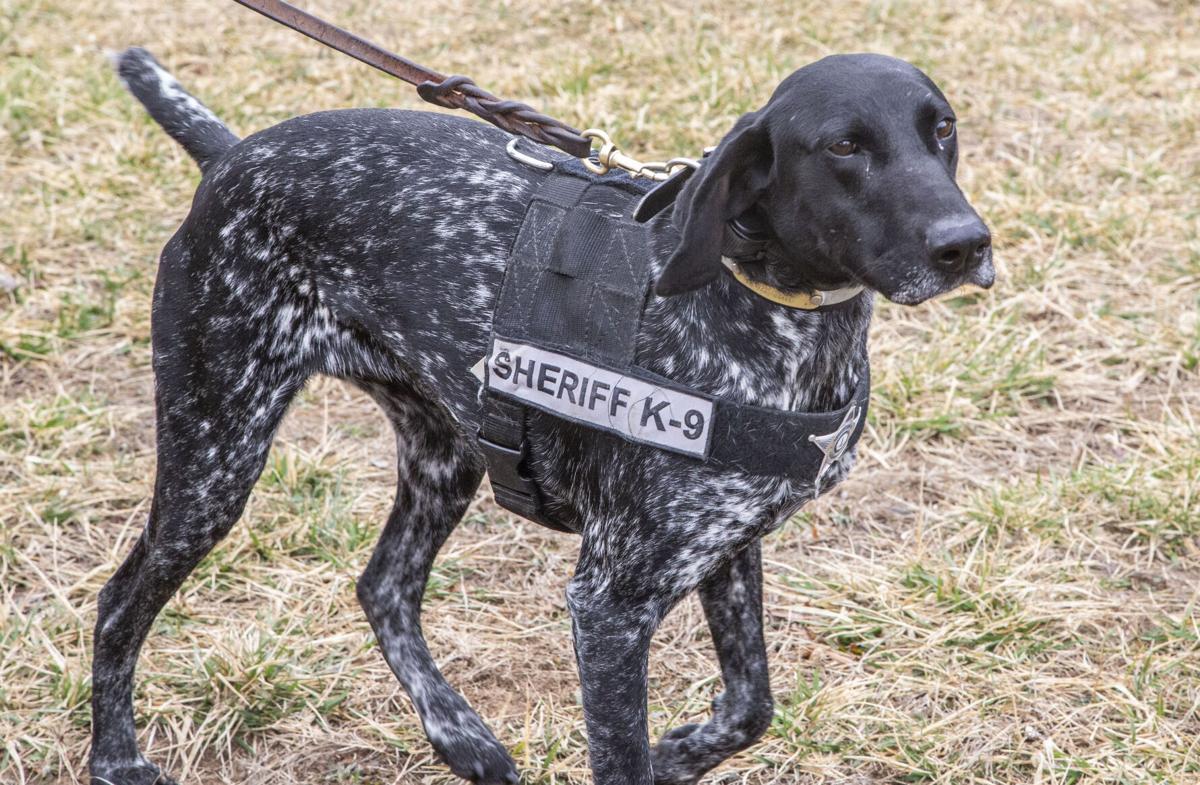 From tracking to takedowns, county’s K-9s are invaluable part of the ...