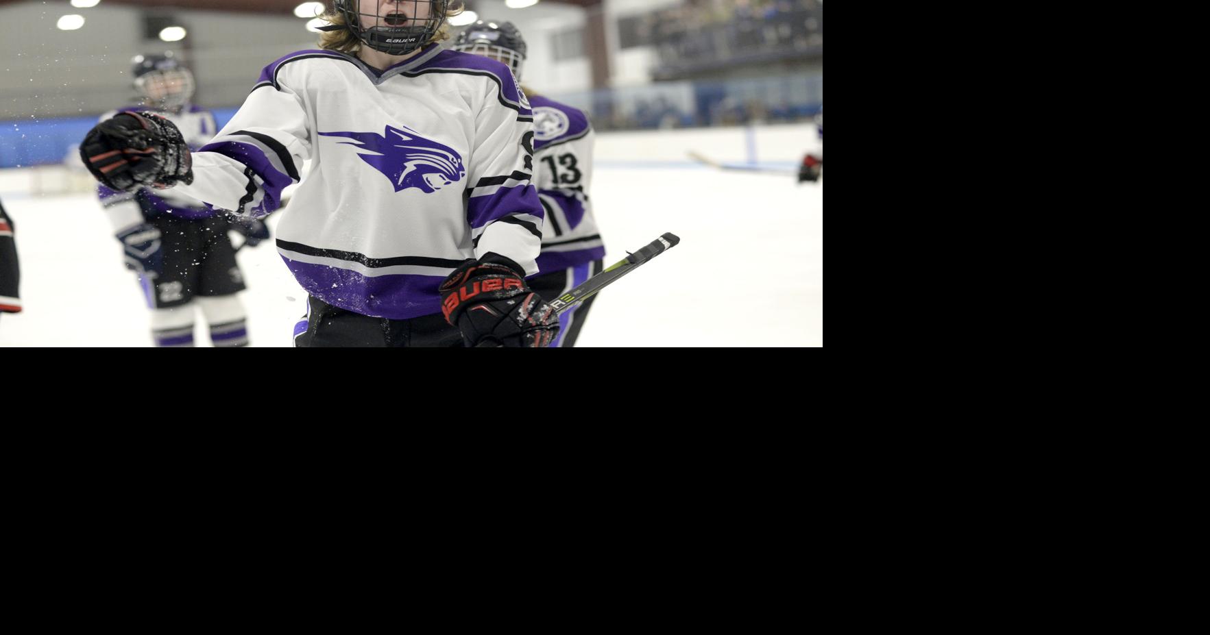 Expanded Haymarket IcePlex caters to future Ovechkins, Peggy Flemings ...