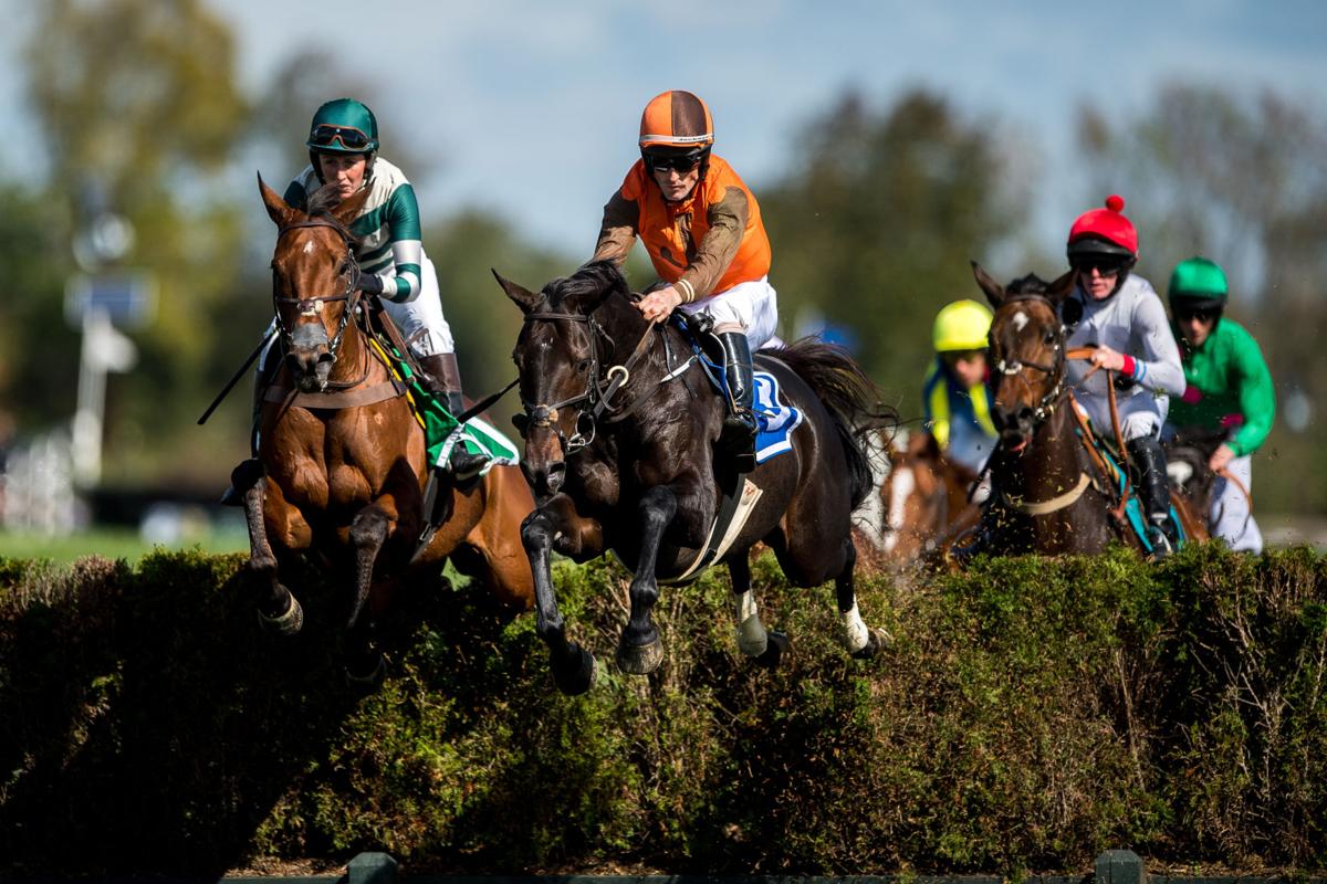 Local steeplechases kick off fall season | News | fauquier.com