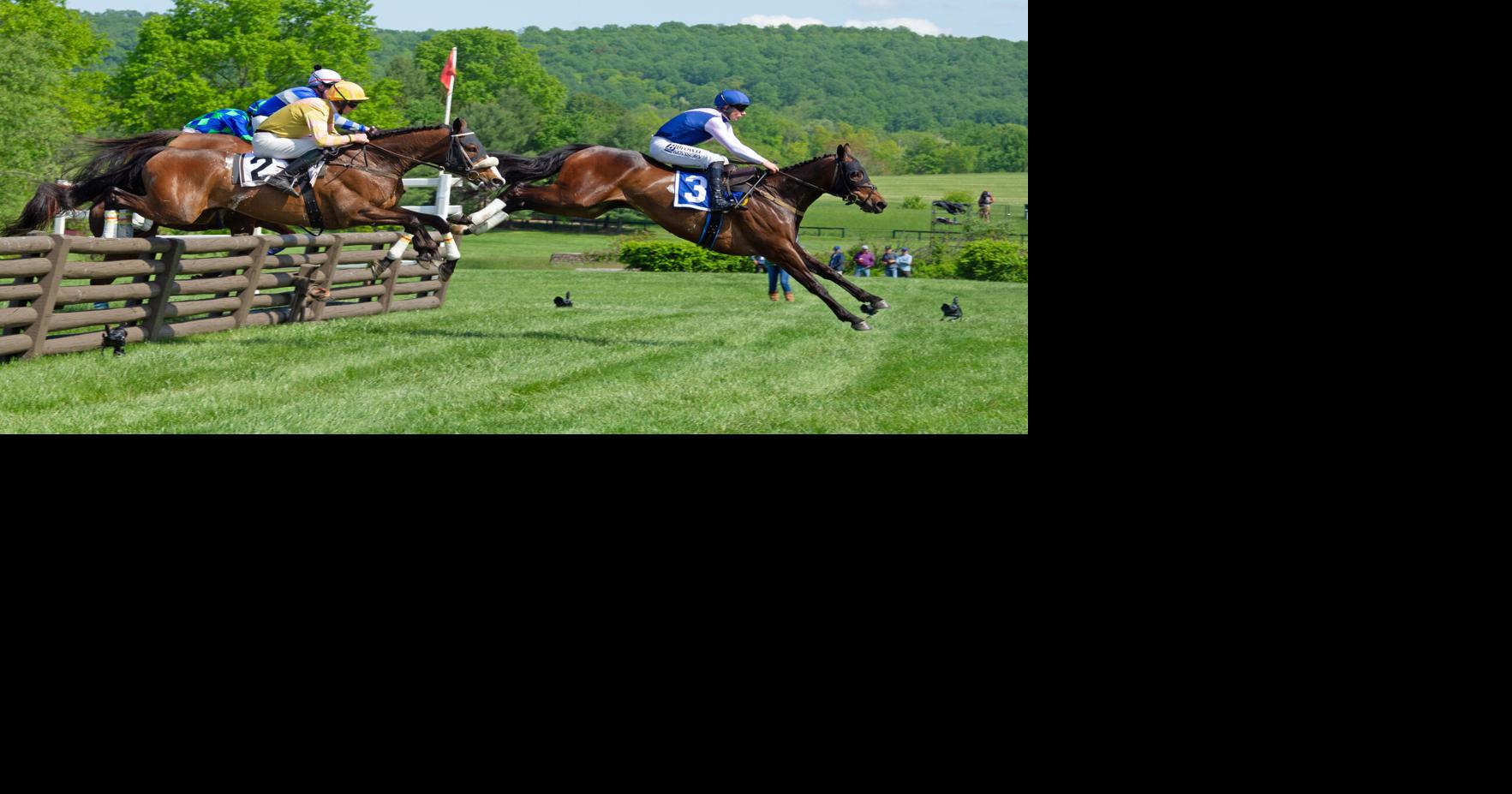 Great Meadow to host 100th Virginia Gold Cup | News | fauquier.com