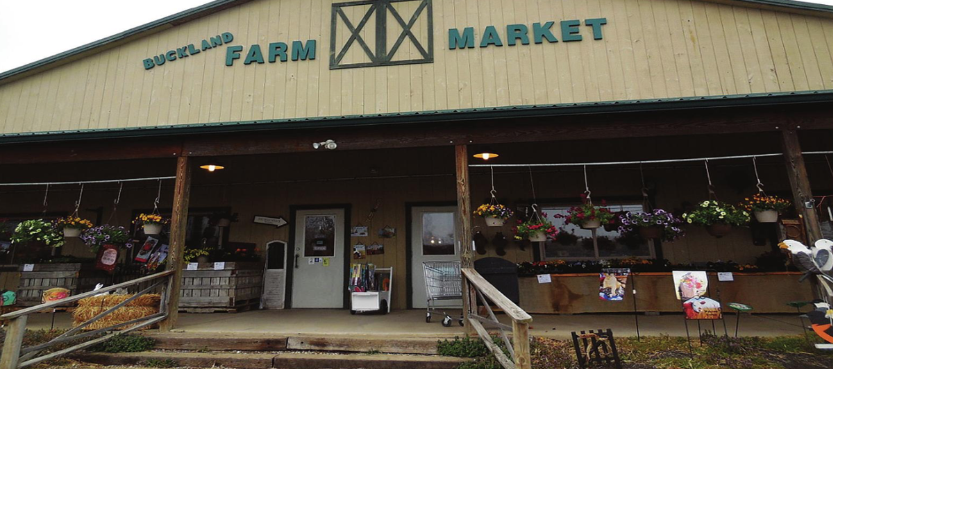 It’s about more than produce at Buckland Farm Market | News | fauquier.com