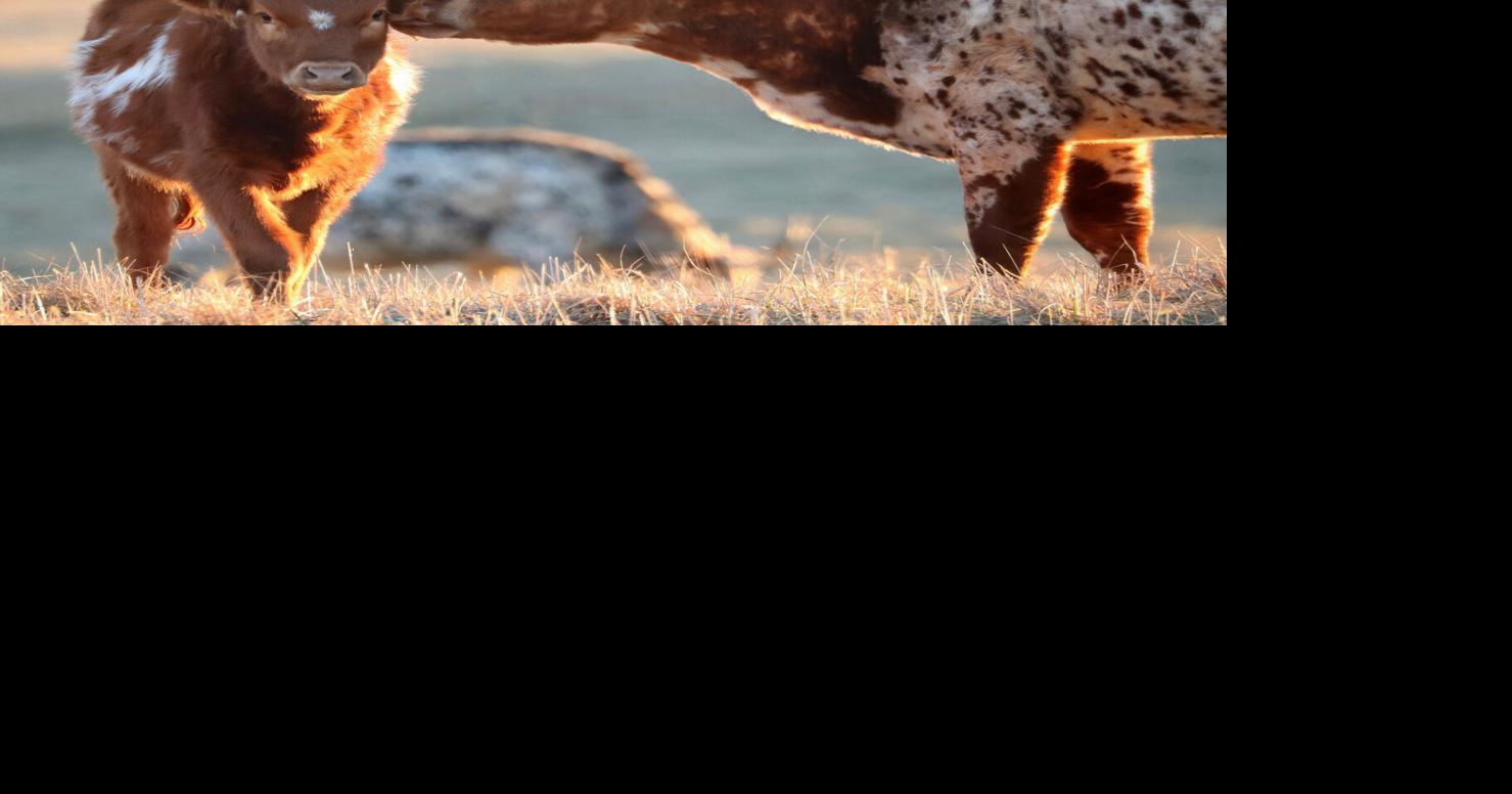 PEC photo contest winners include 2 Fauquier entries | Lifestyles ...