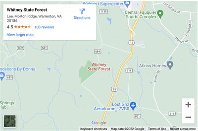 Whitney State Forest will be closed intermittently for logging ...