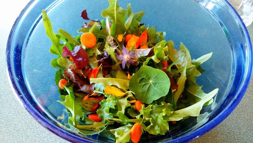 Elizabeth Melson: A farmers marketer | | fauquier.com