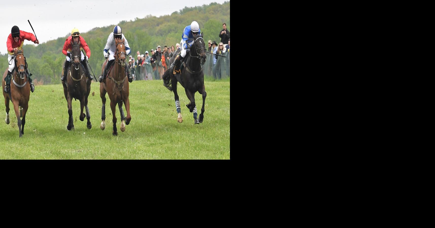 Fauquier's Kinross Farm wins big in 2024 Maryland Hunt Cup | Lifestyles ...