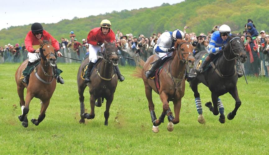 Fauquier's Kinross Farm wins big in 2024 Maryland Hunt Cup | Lifestyles ...