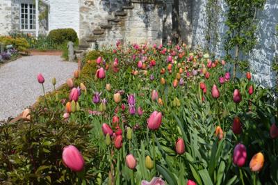 Oak Spring Gardens offer rare opportunity to visit | Lifestyles ...