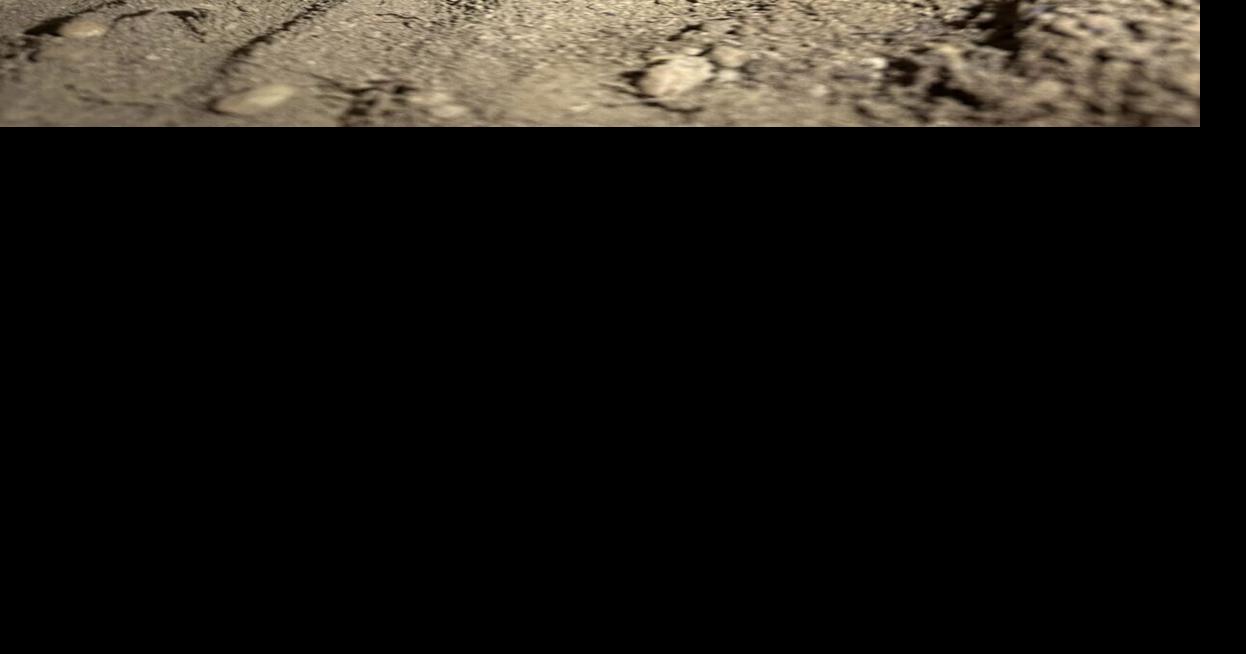 Benny the Beagle trapped under a shed | | fauquier.com