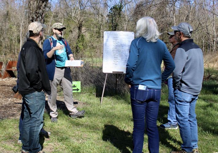 IN PHOTOS: Bluebells work their magic at Nokesville's Merrimac Farm ...