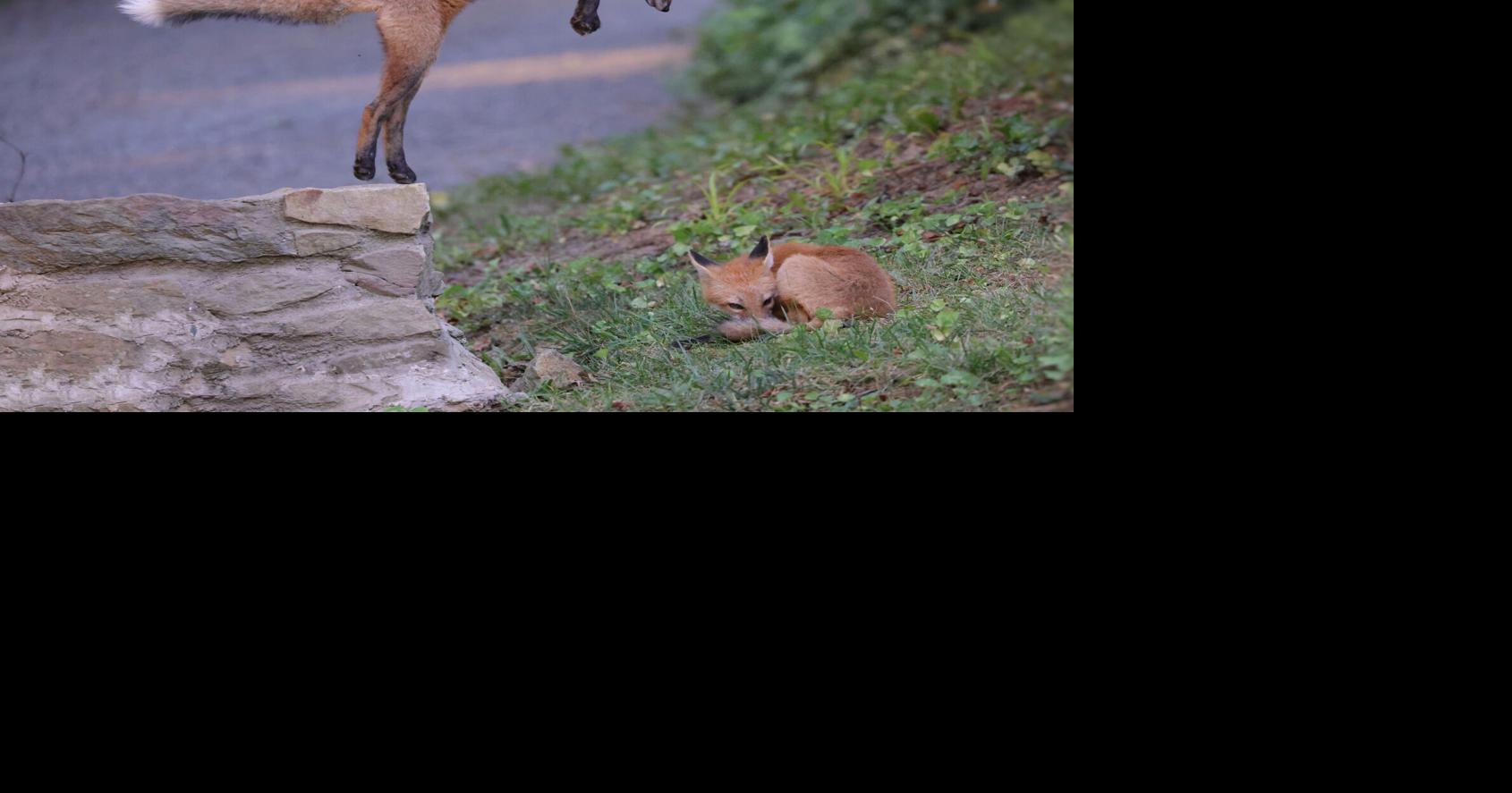 PEC announces 2024 photo contest winners | News | fauquiernow.com