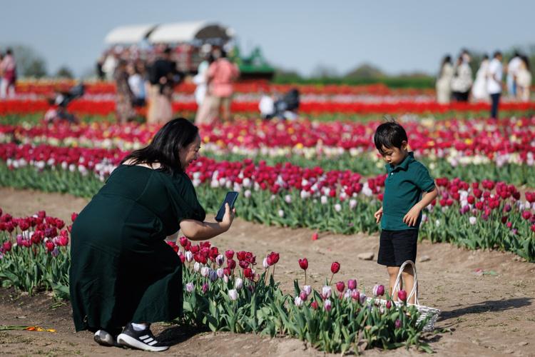 IN PHOTOS: A stunning spring scene at Burnside Farms in Nokesville ...
