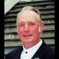 Louis L. Martin | Obituaries | fauquiernow.com