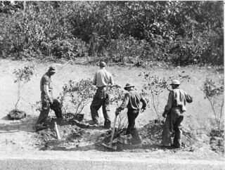 Remembering Roosevelt’s Army: This year marks the 90th anniversary of ...