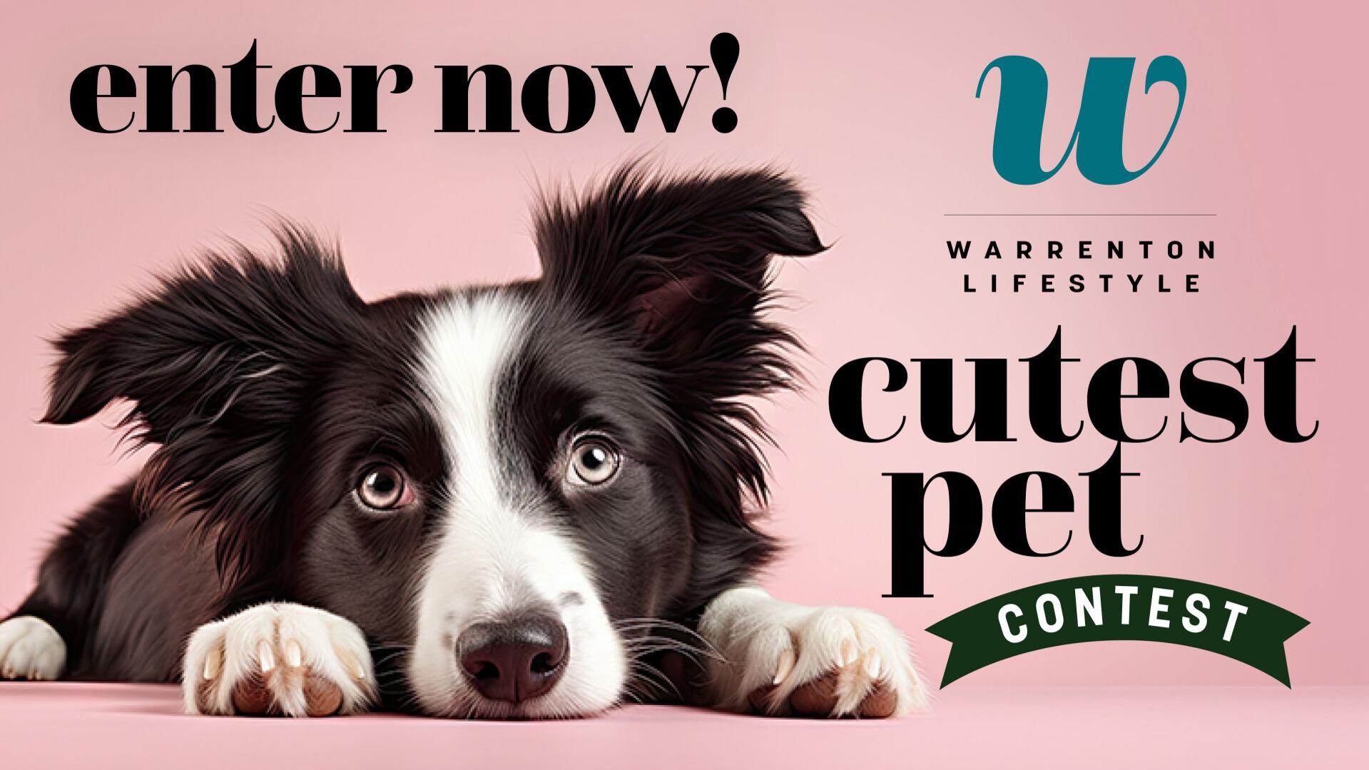 fauquiernow.com | Fauquier County and Warrenton, Virginia, News ...