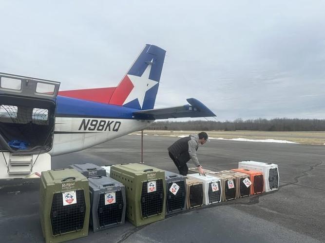 Honoring fallen local pilot, Seuk’s Army takes flight with 22 rescue pets | Features & Events ...
