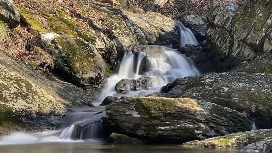 Take an Easy Hike at Shenandoah River Campus at Cool Spring Battlefield ...
