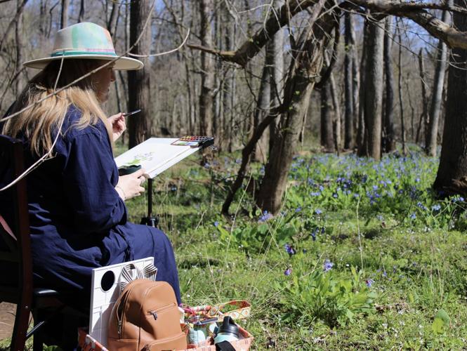 IN PHOTOS: Bluebells work their magic at Nokesville's Merrimac Farm ...