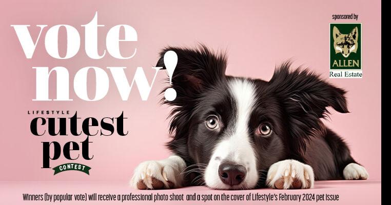 Voting is open for Warrenton Lifestyle's Cutest Pet Contest: vote for ...