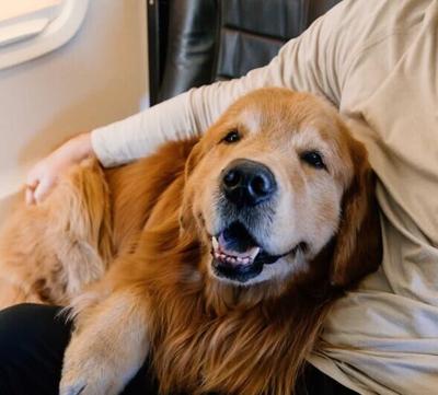 RetrievAir says Manassas service launching in February | Business ...