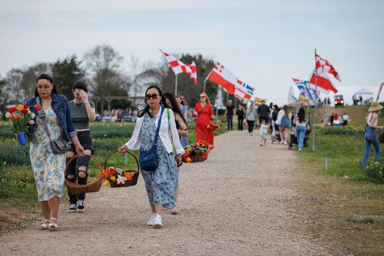 IN PHOTOS: A stunning spring scene at Burnside Farms in Nokesville ...