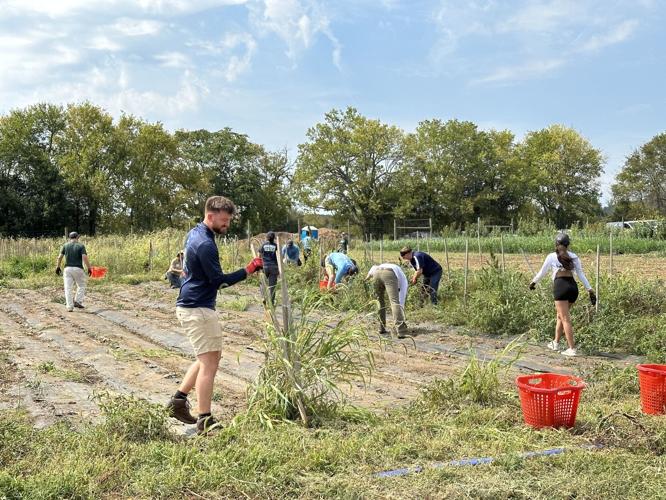 Piedmont Environmental Council’s Community Farm gets a shot of life ...