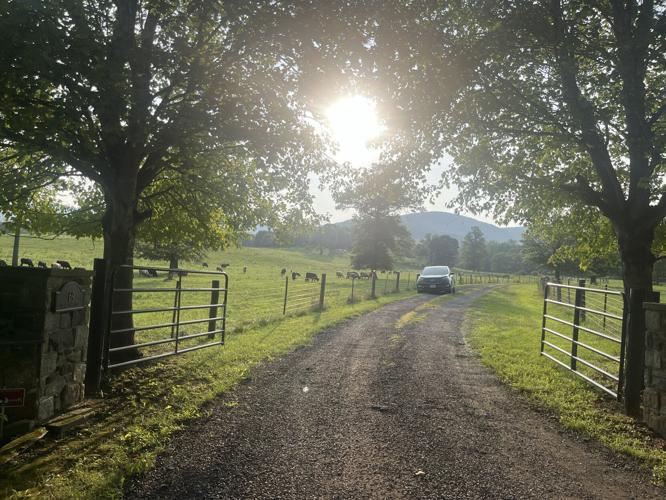 Rappahannock homeowners Dimitri, Anastasia Simes indicted | Government ...