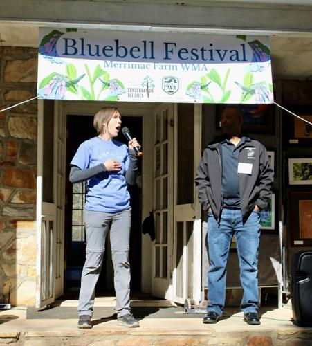 IN PHOTOS: Bluebells work their magic at Nokesville's Merrimac Farm ...
