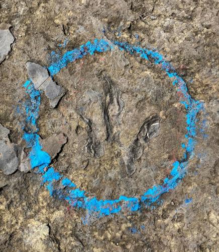 DinoWalk returns to Culpeper's Luck Stone Quarry in May | Features ...