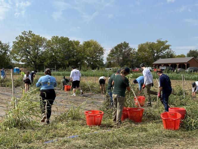 Piedmont Environmental Council’s Community Farm gets a shot of life ...