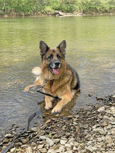 Take an Easy Hike at Shenandoah River Campus at Cool Spring Battlefield ...