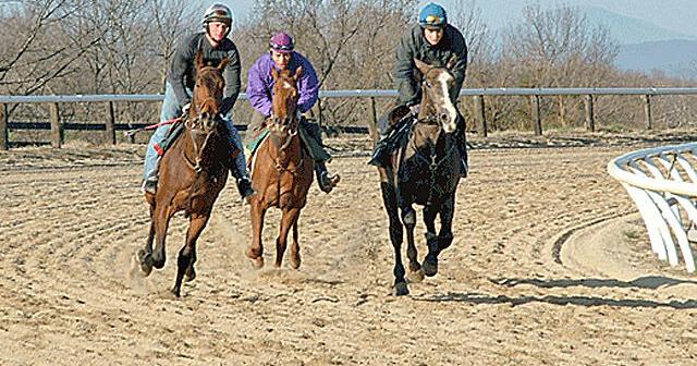 Hunt Country's top stables open for weekend tour | Neighbors ...