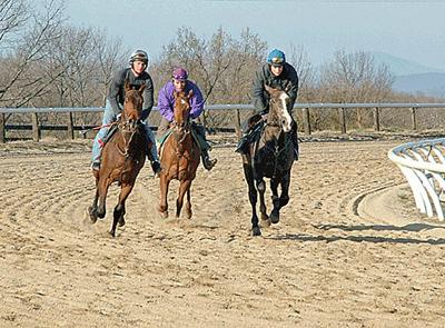 Hunt Country's top stables open for weekend tour | Neighbors ...