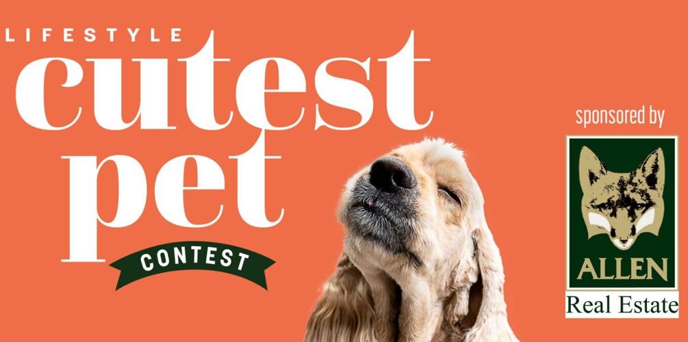 Warrenton Lifestyle's annual Cutest Pet Contest open through Nov. 30 ...