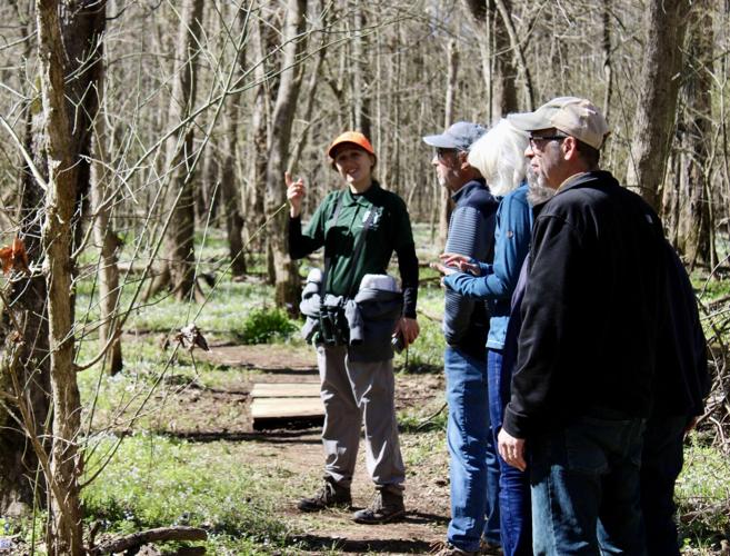 IN PHOTOS: Bluebells work their magic at Nokesville's Merrimac Farm ...