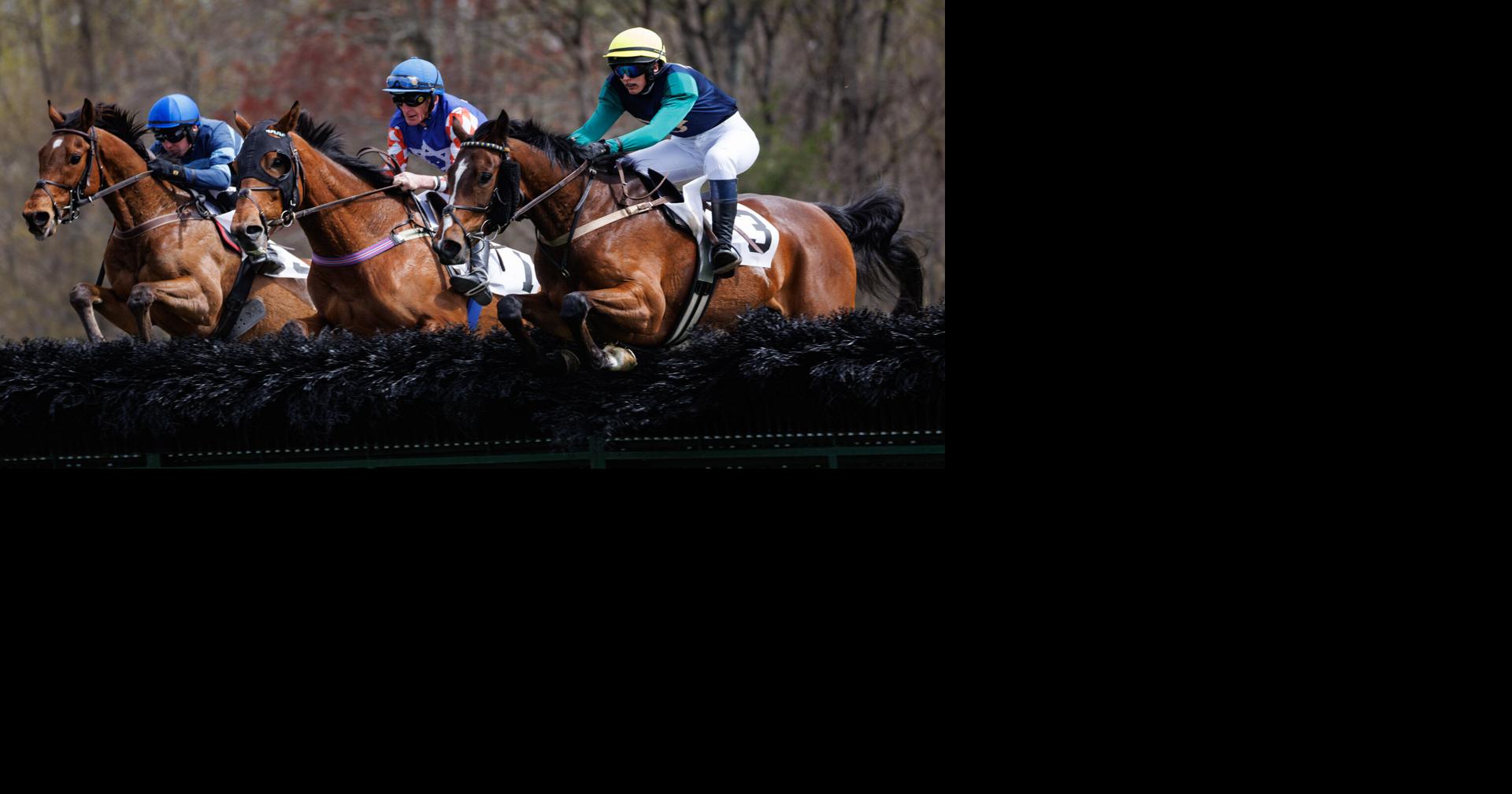 IN PHOTOS: The Old Dominion Hounds Point-to-Point at historic Ben Venue ...