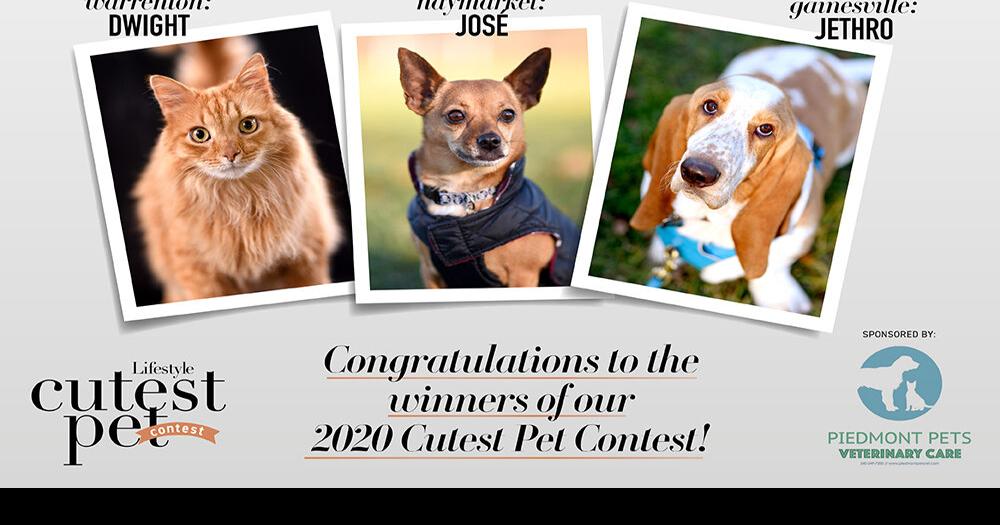 The Results Are In: Lifestyle’s Cutest Pet Contests | Home & Family ...