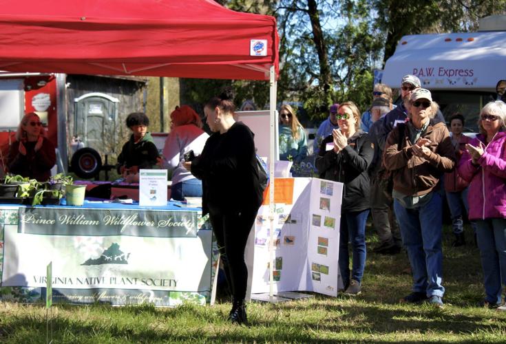 IN PHOTOS: Bluebells work their magic at Nokesville's Merrimac Farm ...