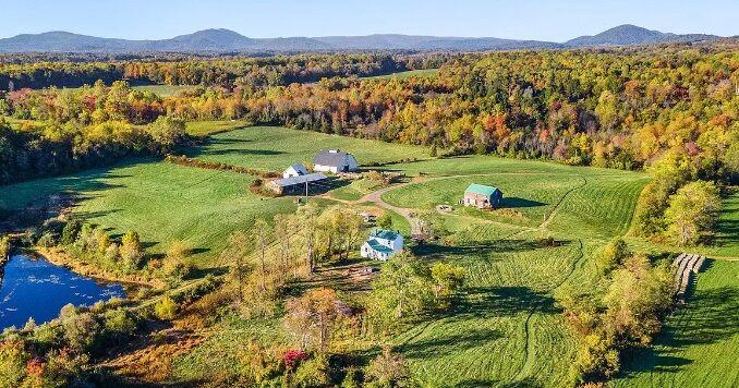 Real Estate Roundup: 240-acre farm near Orlean sells for $1.9M and more ...