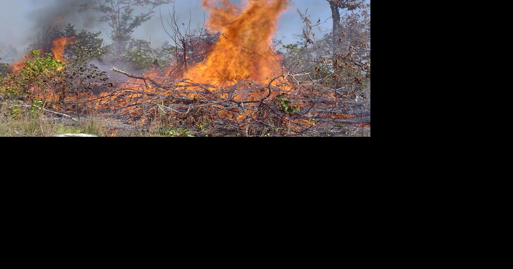 Virginia's spring burn ban goes into effect Saturday | Public Safety ...